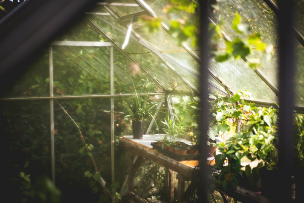 Easy Steps to Build A Shipping Container Greenhouse - Shipping ...