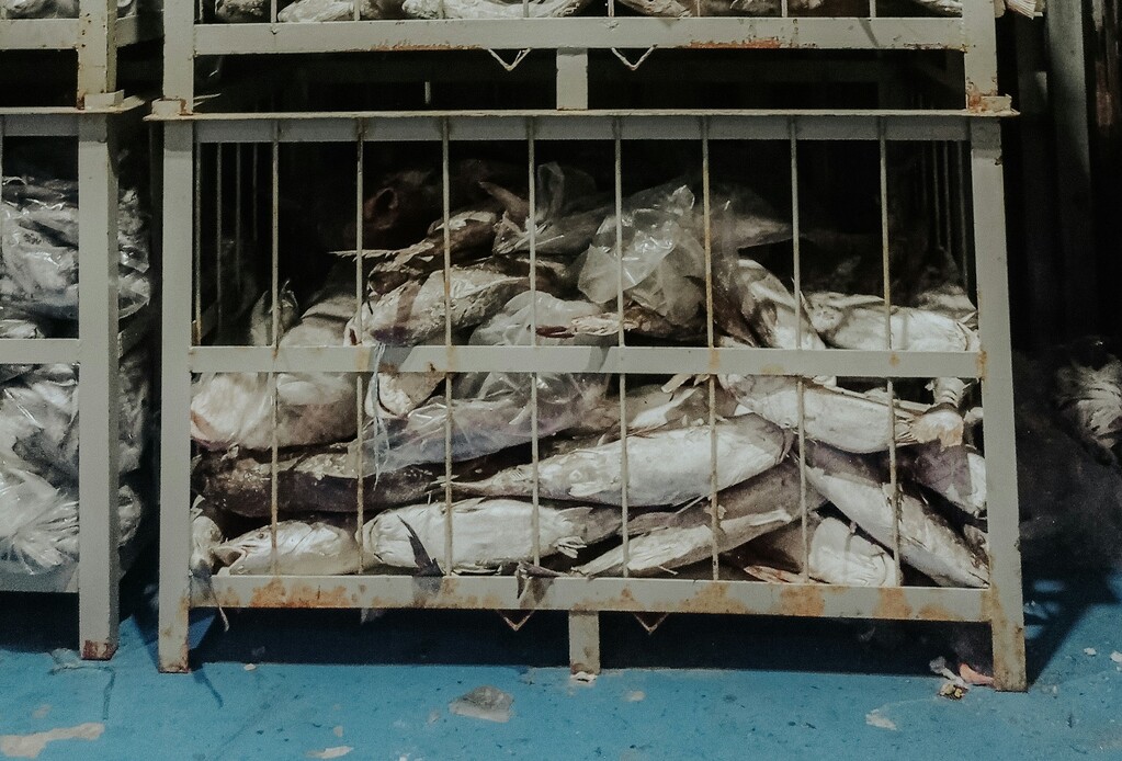 4 Types of Cold Storage Container Rental and Sale - Shipping Containers USA